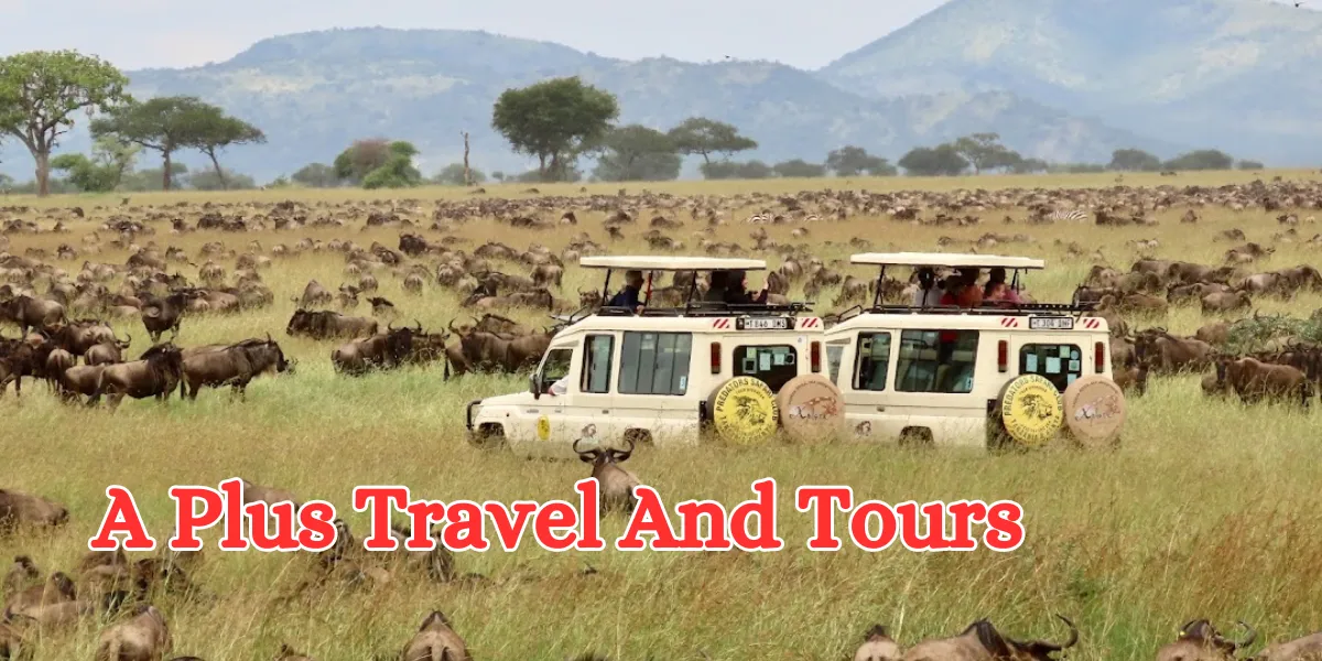 A Plus Travel And Tours